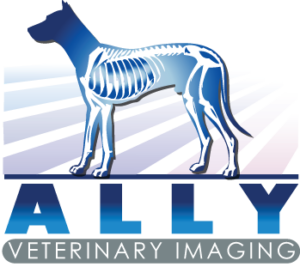 Home - Ally Veterinary Imaging